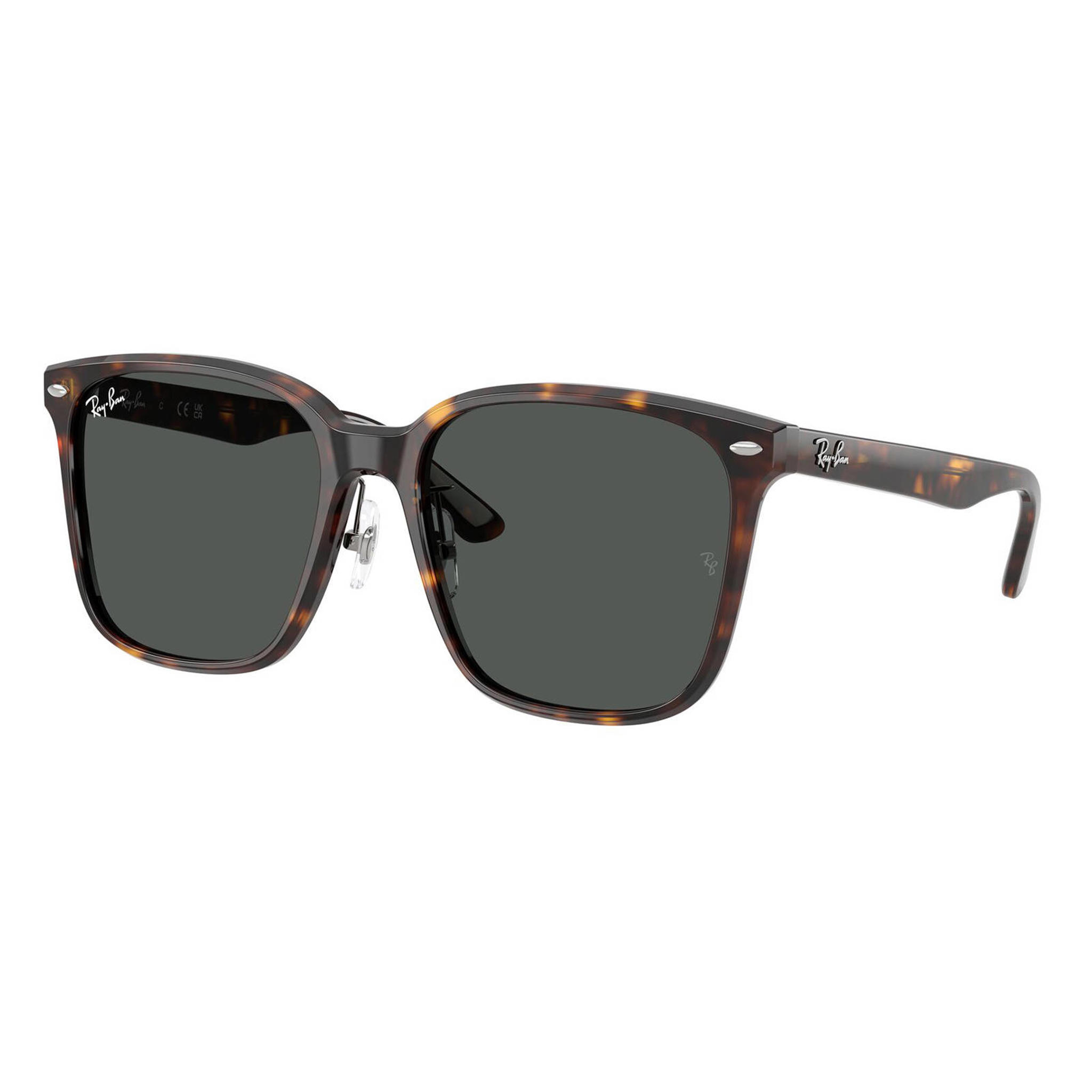 Ray-Ban zonnebril met tortoise print 0RB2206D bruin | wehkamp