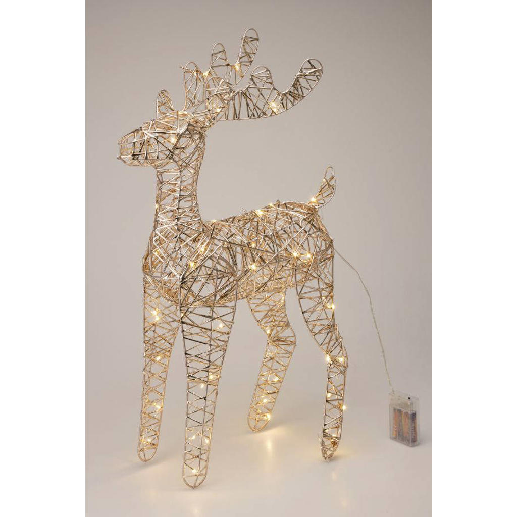 Home & Styling Collection Rendier LED 60cm Champagne | wehkamp