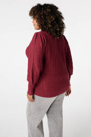 MS Mode pullover donkerrood kopen? | Morgen in huis | wehkamp