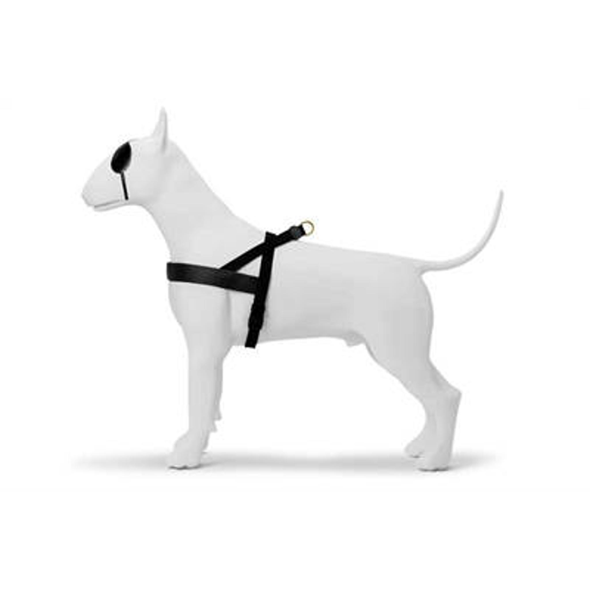 Morso Norwegian Hondentuig Gerecycled Gold Caviar Goud 41-56X38 cm ...