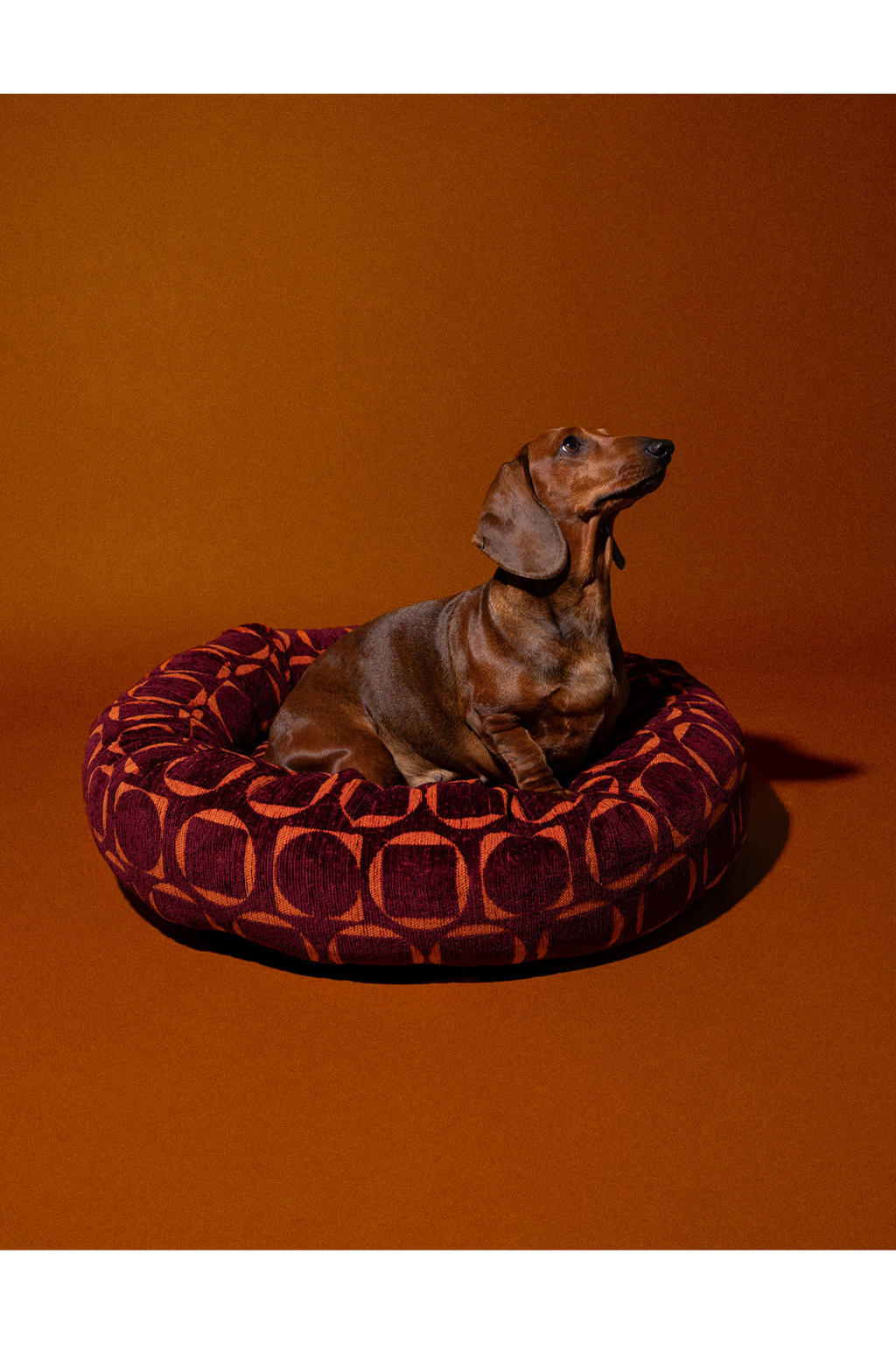 Dogguo Hondenmand rond SQUARE-CIRCLE-ROUND-BED-BORDEAUX/ORANGE-S | wehkamp