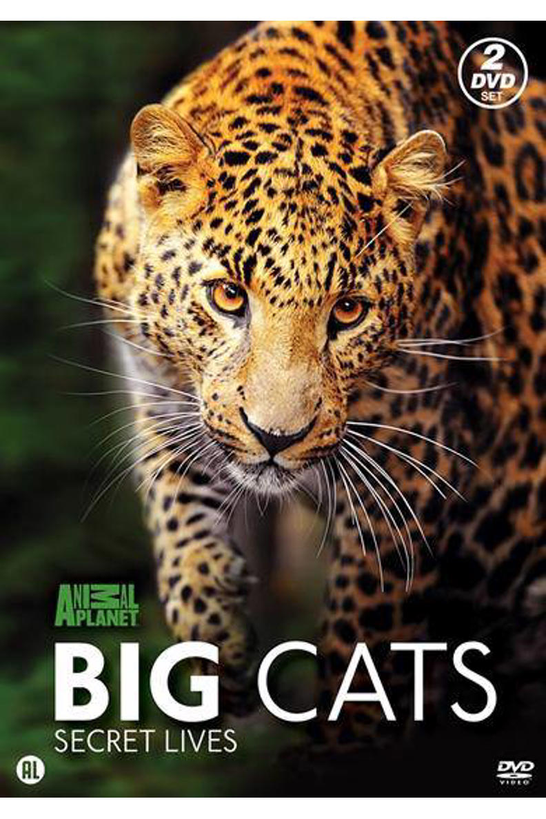 Big cats (DVD) | wehkamp