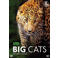 Big cats (DVD) kopen? | Morgen in huis | wehkamp