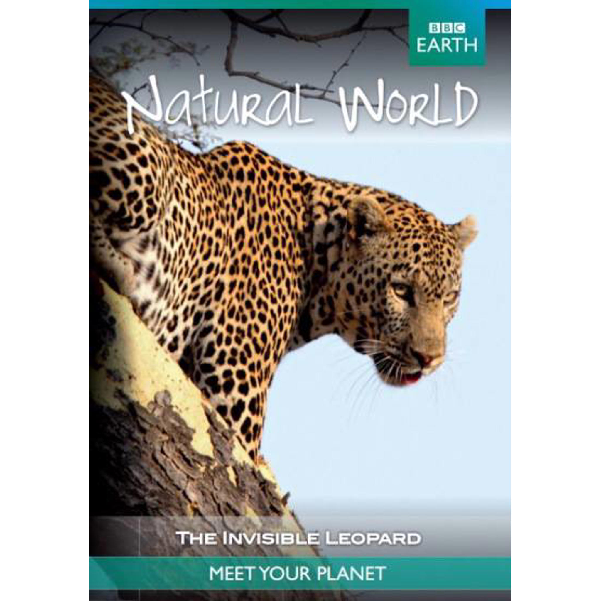 BBC Earth - The Invisible Leopard (DVD) | wehkamp