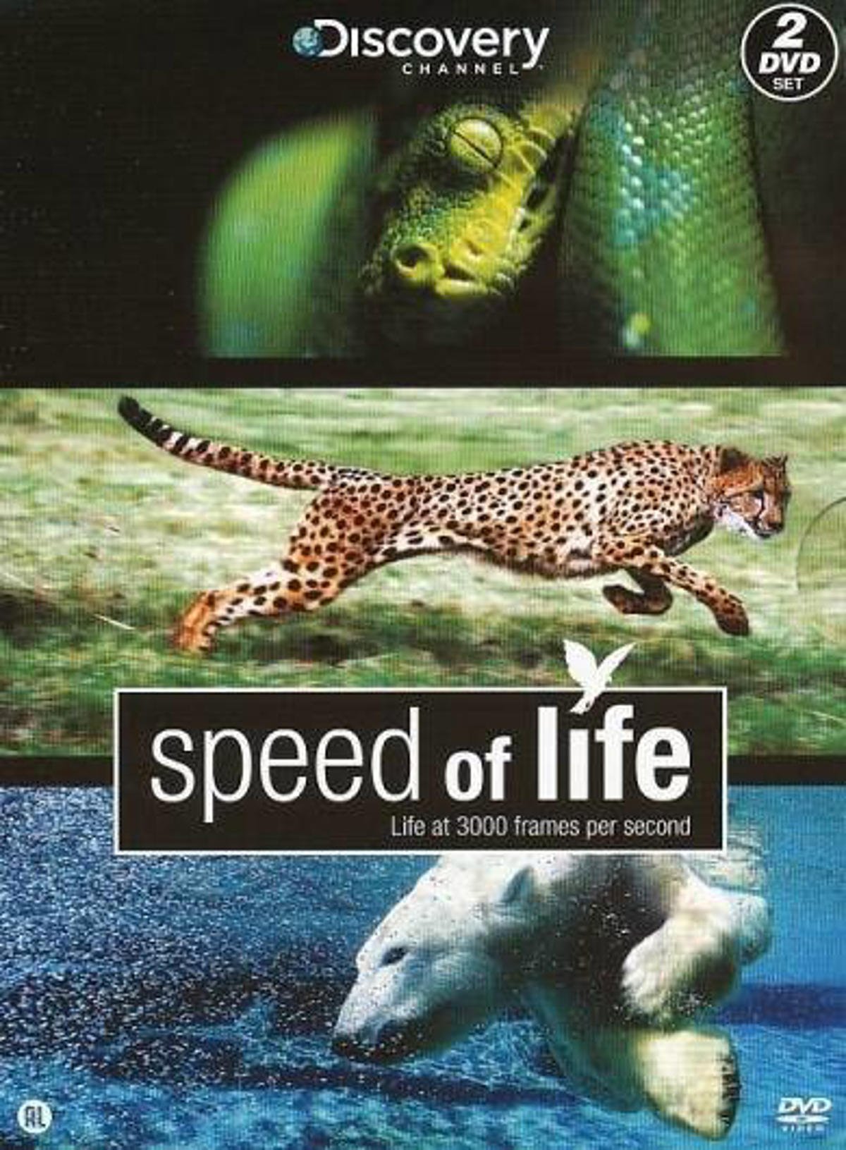 Speed of life (DVD) kopen? | Morgen in huis | wehkamp