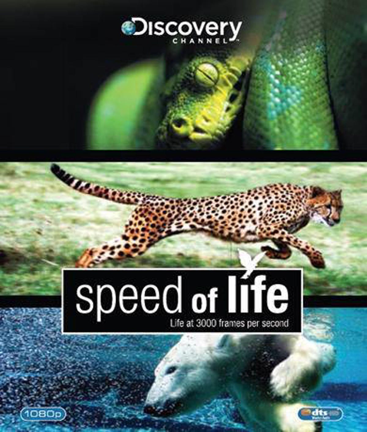 Speed Of Life (Blu-ray) | wehkamp