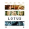 Lotus (DVD) | wehkamp