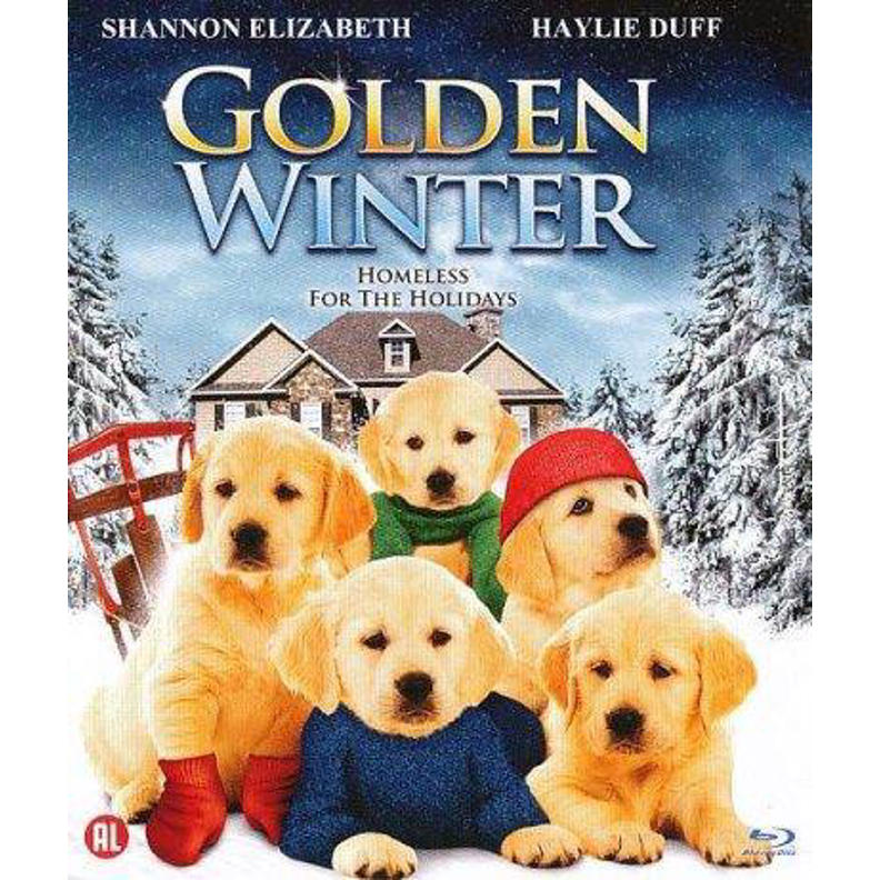 Golden winter (Blu-ray) kopen? | Morgen in huis | wehkamp