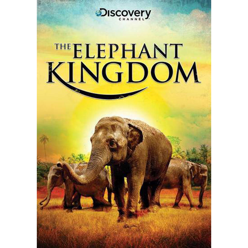 Elephant kingdom (DVD) kopen? | Morgen in huis | wehkamp