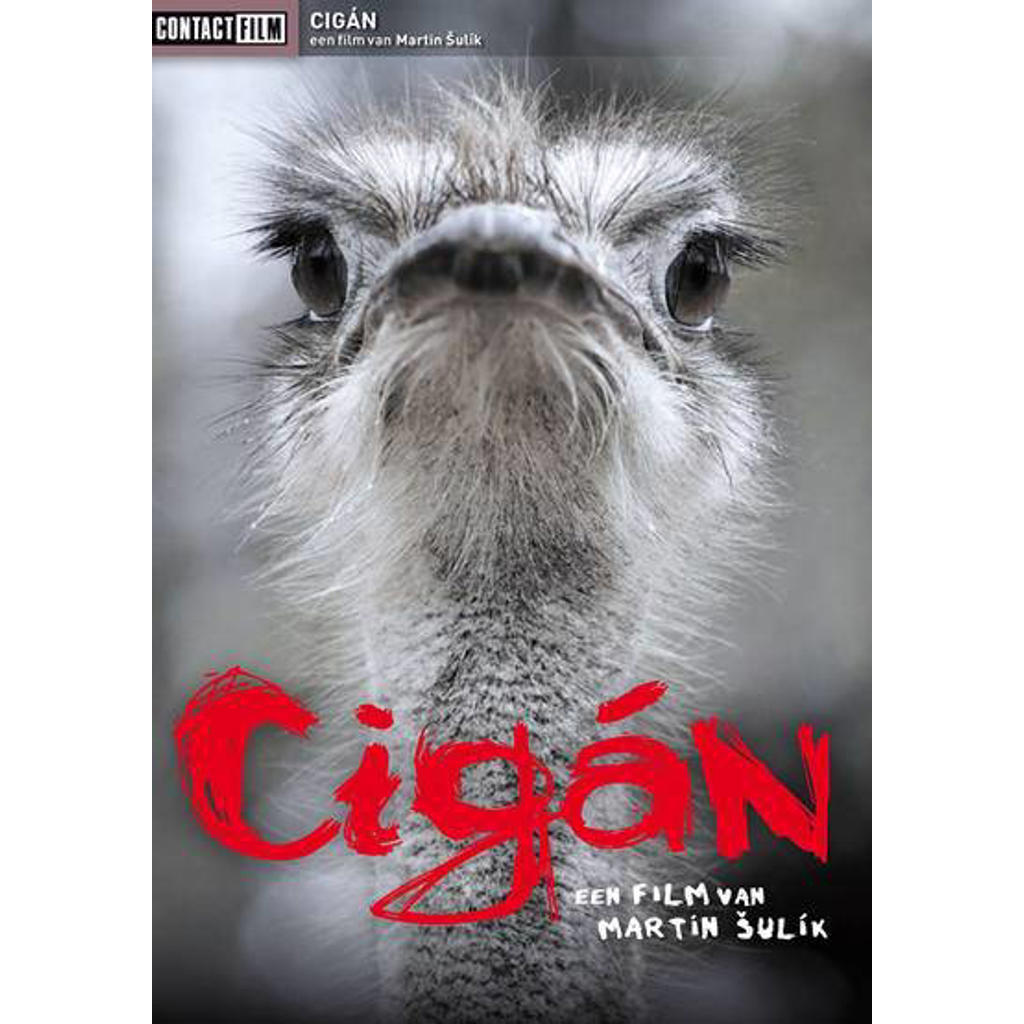 Cigan (DVD) kopen? | Morgen in huis | wehkamp