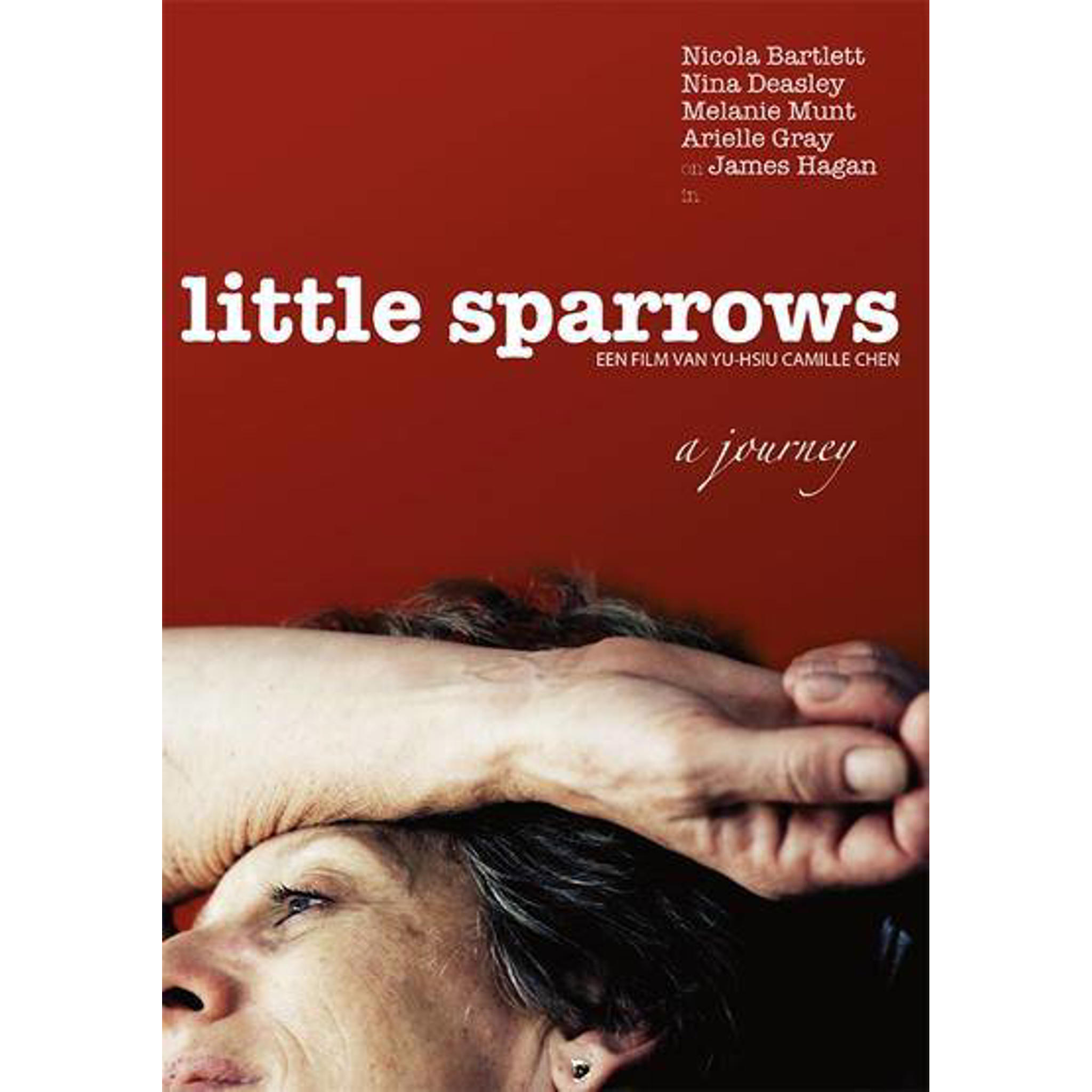 Little Sparrows (DVD) | wehkamp