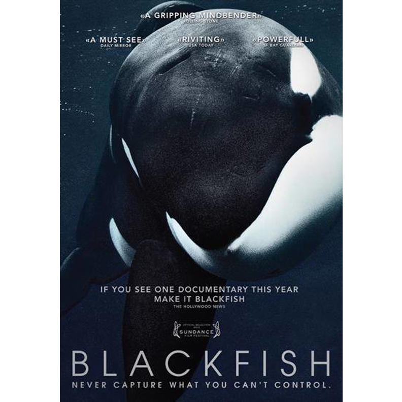 Blackfish (DVD) | wehkamp