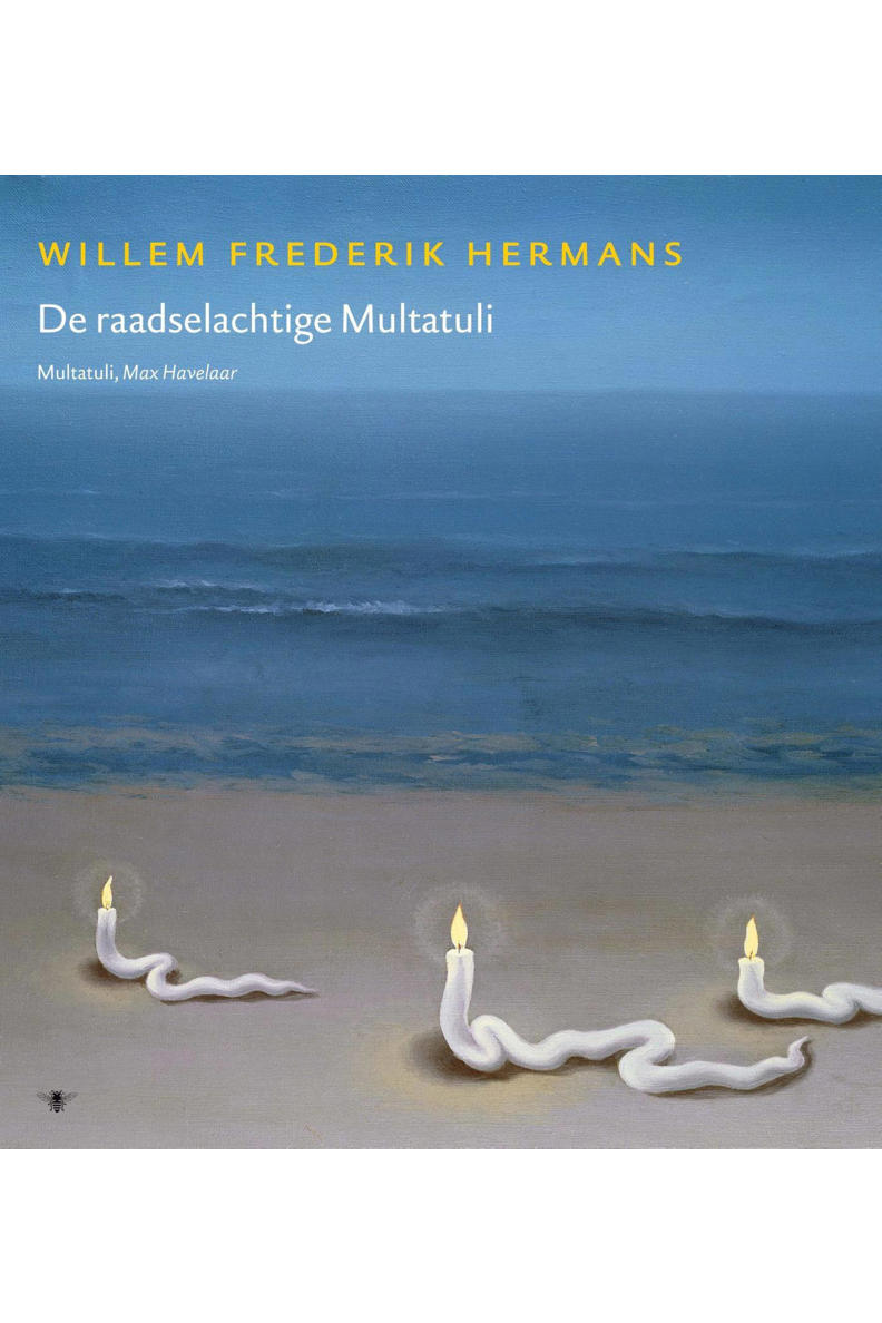 Willem Frederik Hermans Volledige werken van W.F. Hermans: Volledige werken 17 | wehkamp