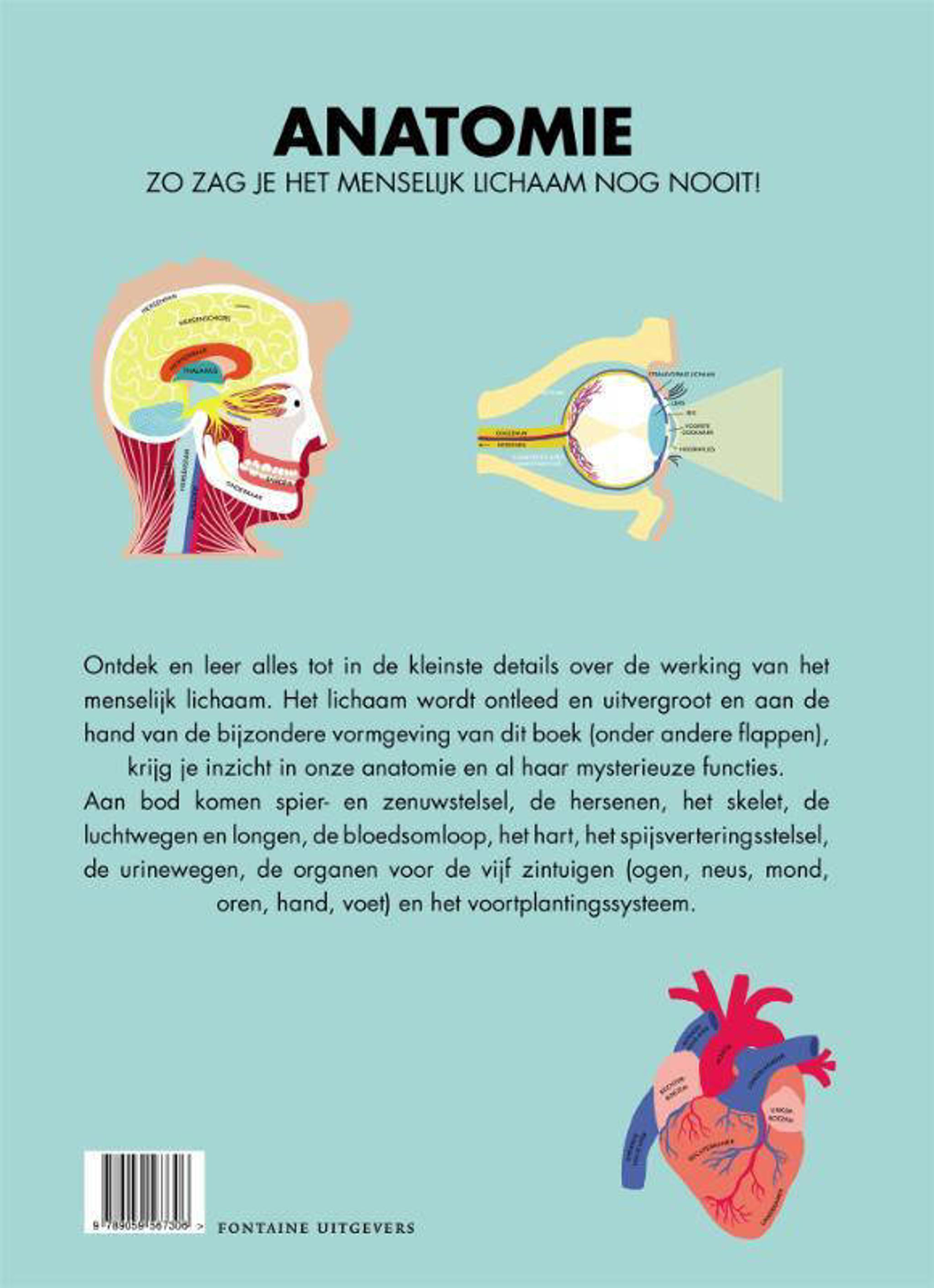 Hélène Druvert Anatomie kopen? | Morgen in huis | wehkamp