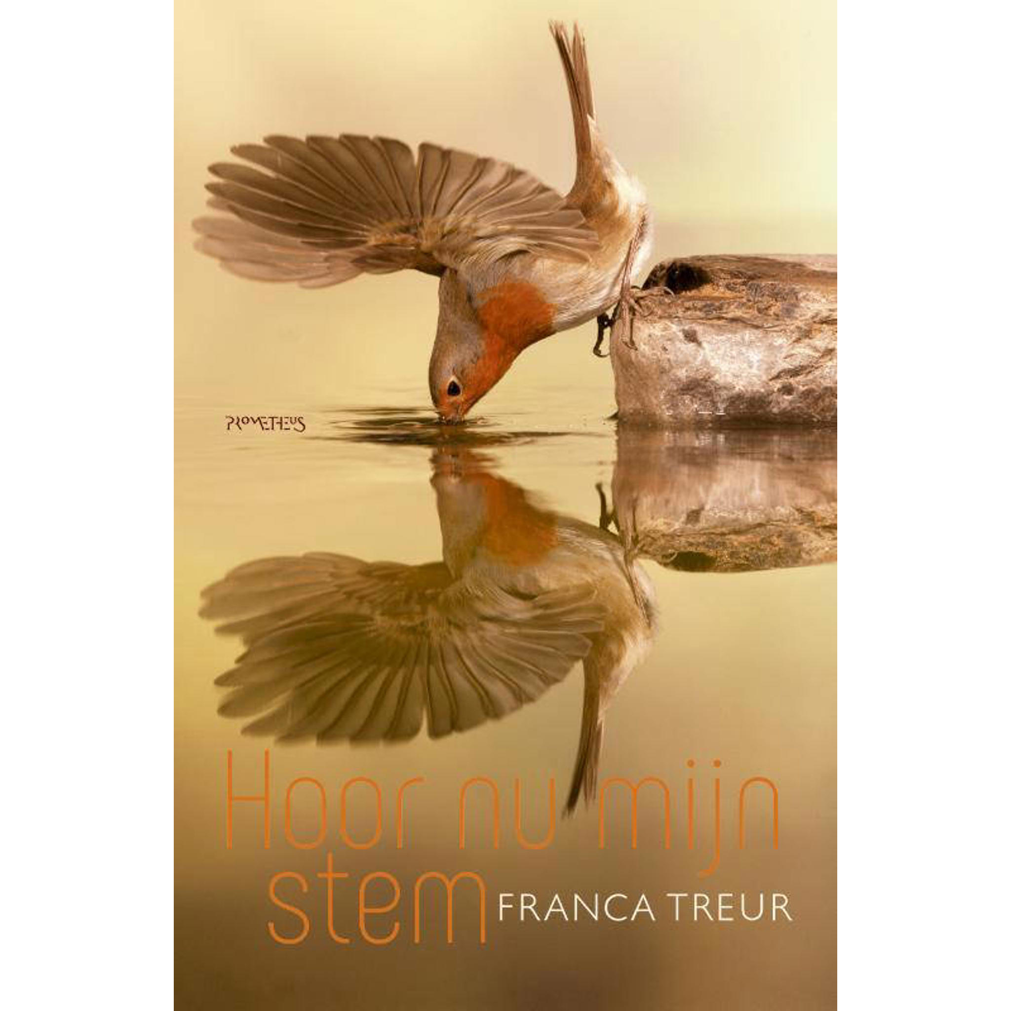 Franca Treur Hoor nu mijn stem | wehkamp