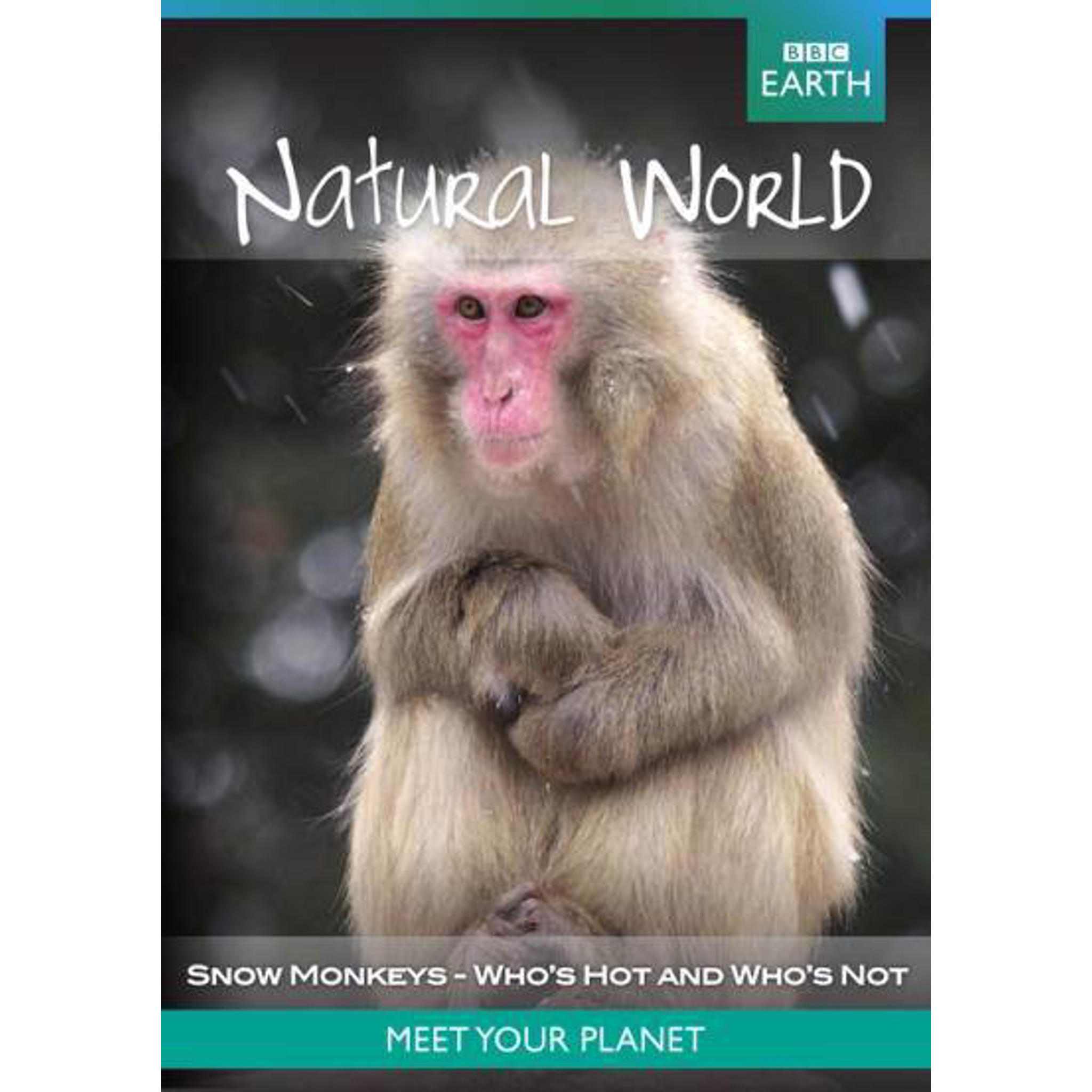 BBC Earth - Natural World Natural World Collection Snow Monkeys (DVD ...
