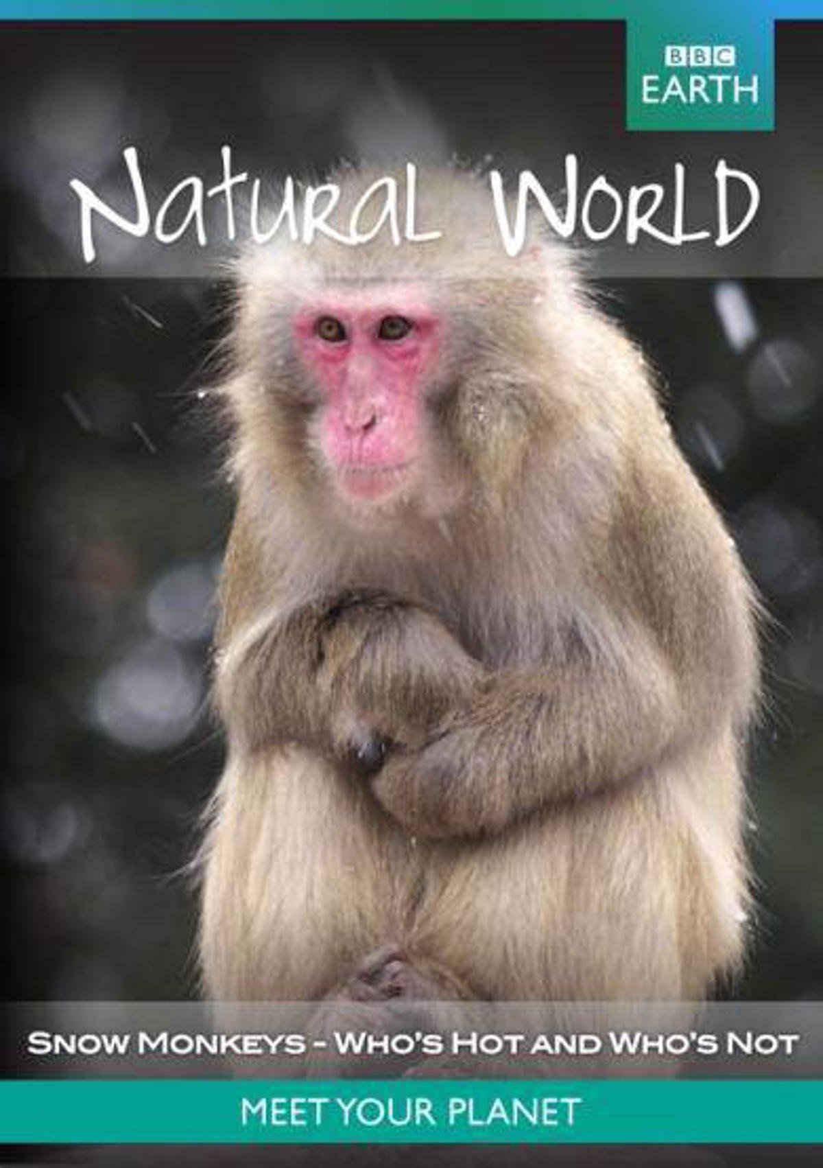 BBC Earth - Natural World Natural World Collection Snow Monkeys (DVD ...