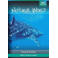 BBC Earth - Natural World Natural World Collection Whale Shark (DVD ...