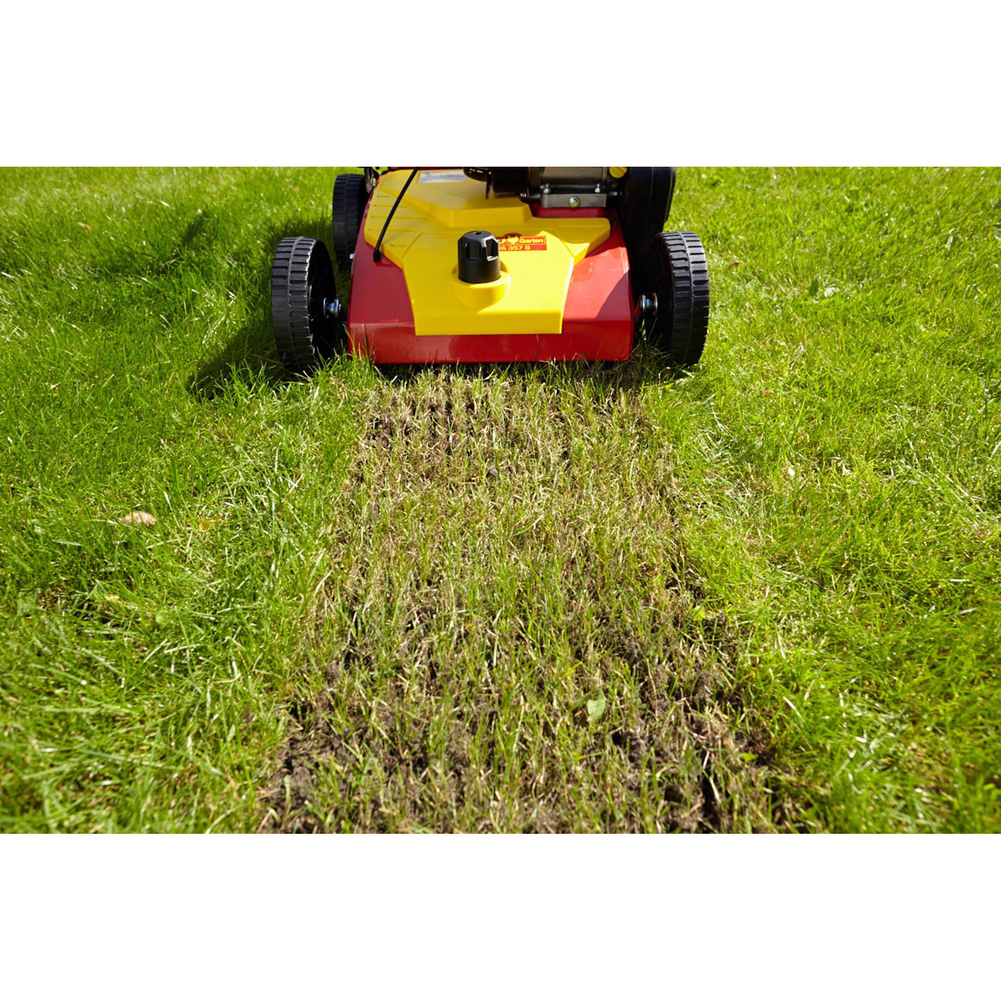 WOLF-Garten VA 357 B benzine verticuteermachine | wehkamp
