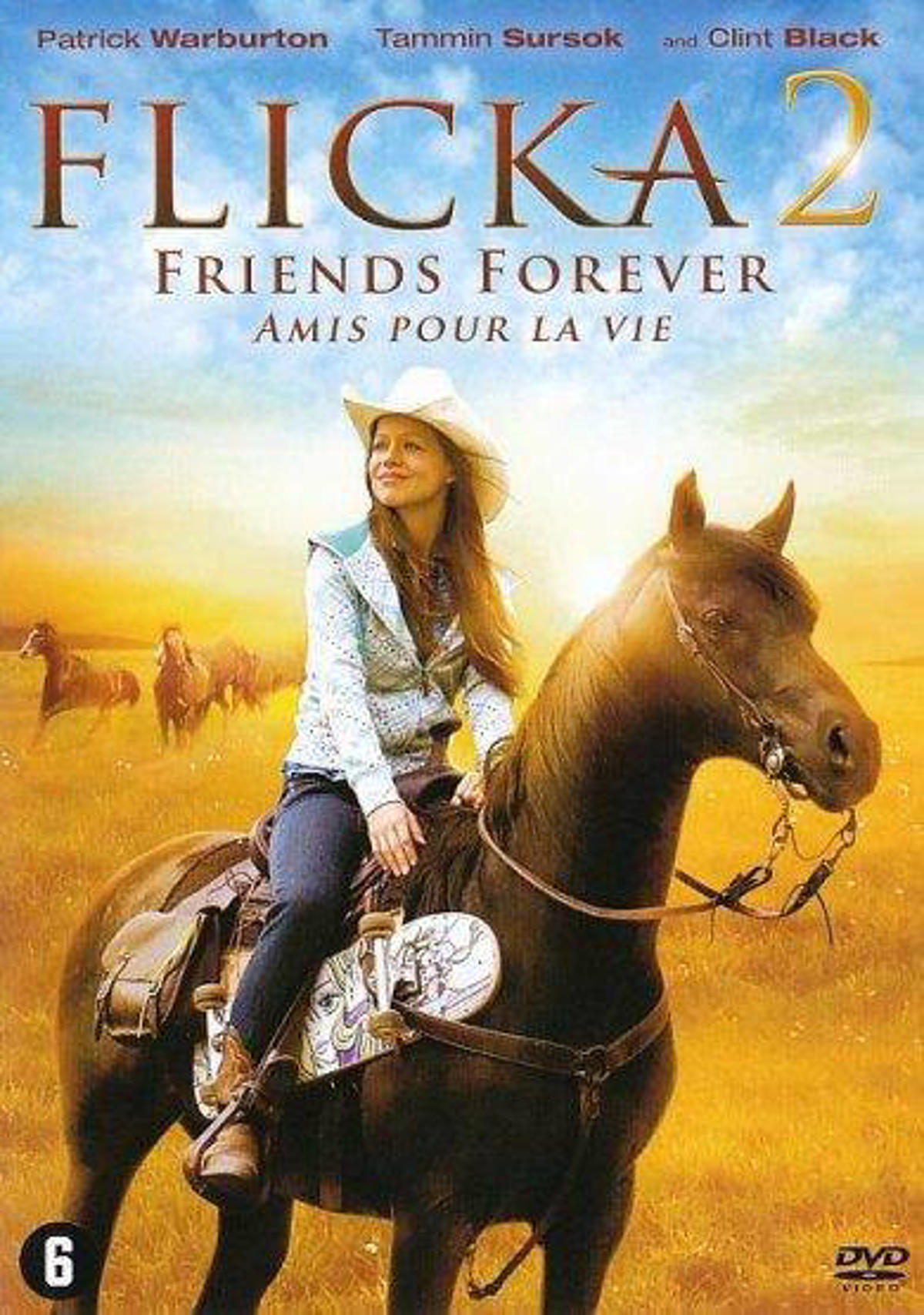 Flicka 2 (DVD) | wehkamp