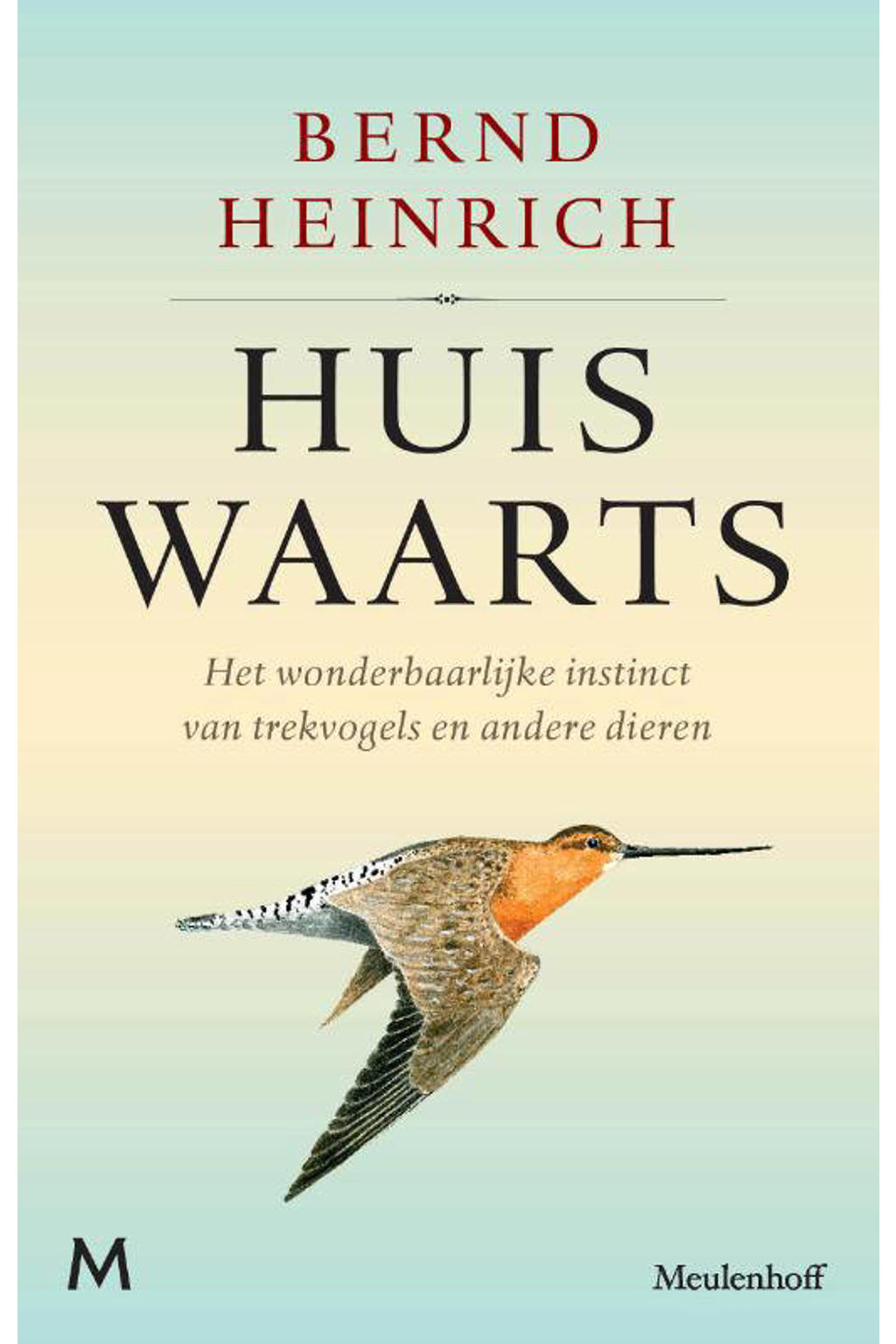 Bernd Heinrich Huiswaarts | wehkamp