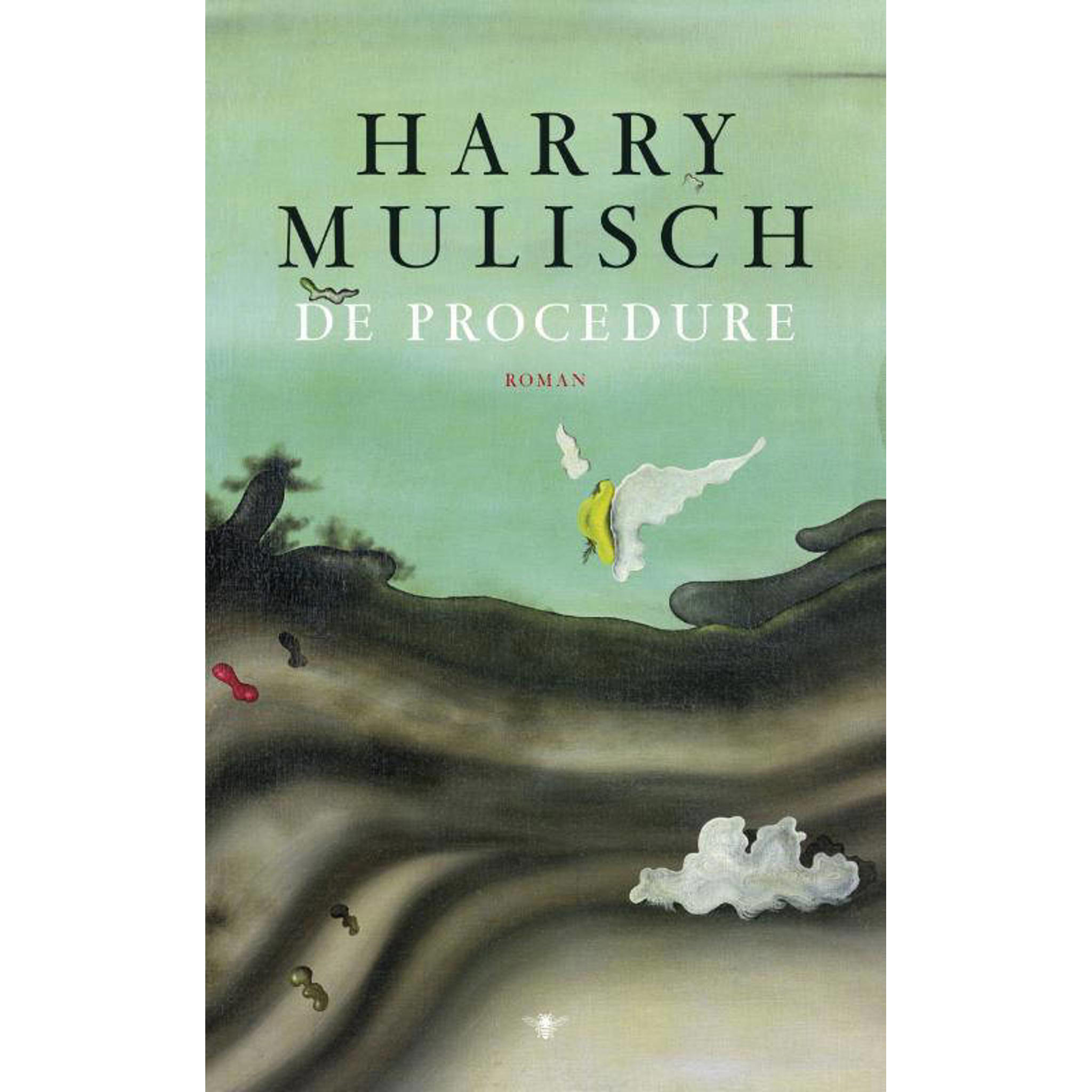 Harry Mulisch De procedure | wehkamp