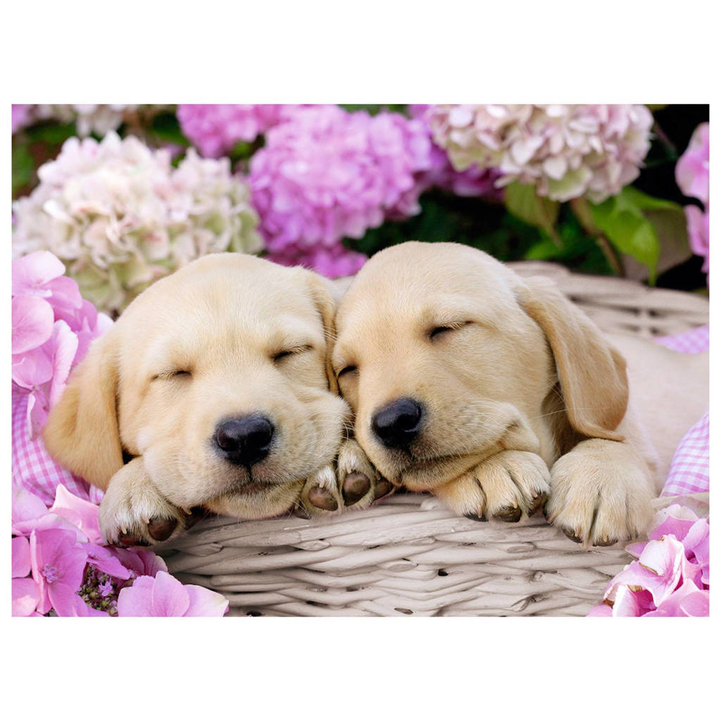 Ravensburger hondje in mand legpuzzel 300 stukjes | wehkamp